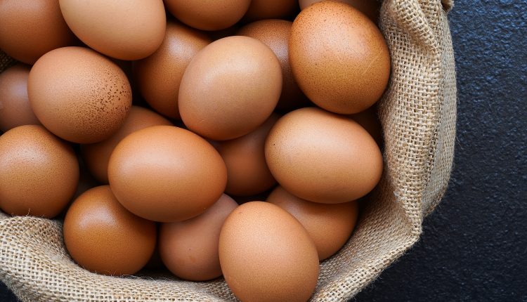 Are Eggs Good For Dementia And Alzheimer s Are Eggs Good For Dementia And Alzheimer s